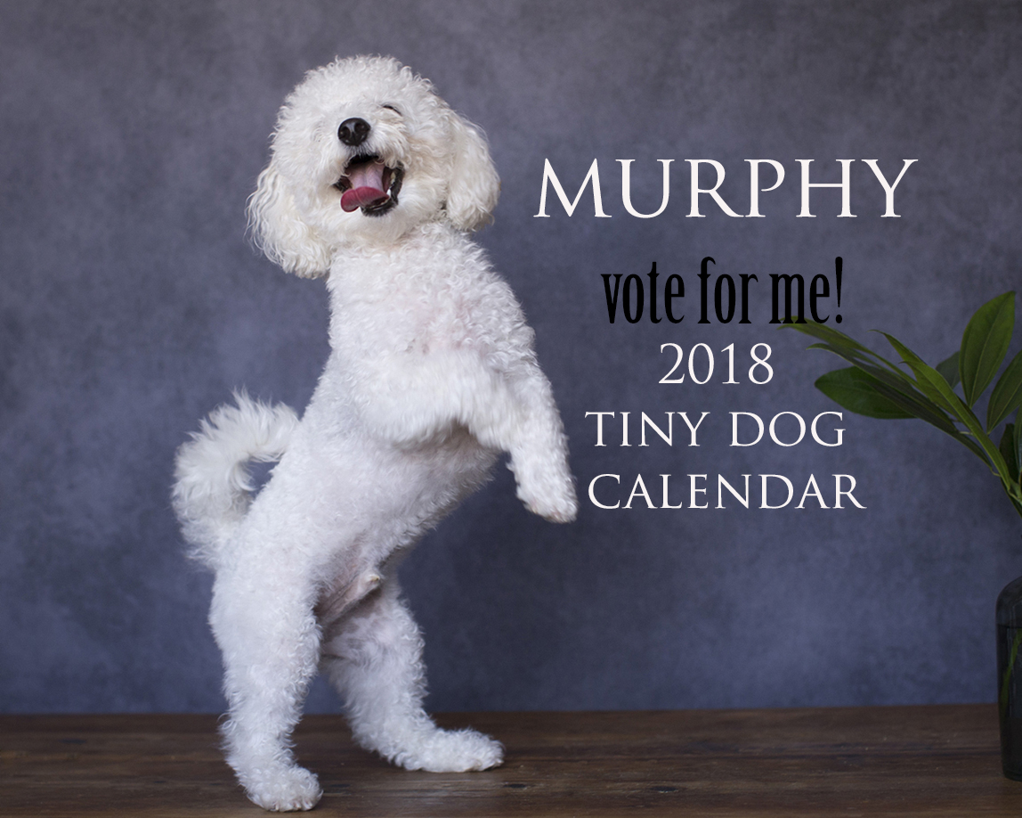 And the winner is….